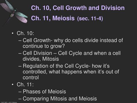 Ppt Ch 10 Cell Growth And Division Ch 11 Meiosis Sec 11 4