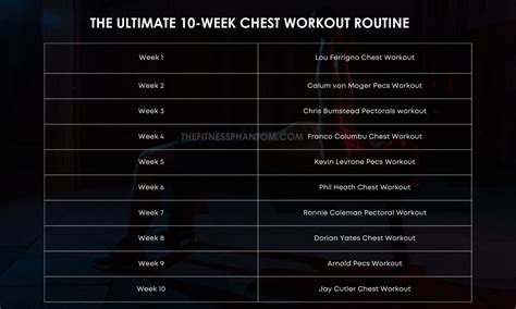 Chest Exercises Chart For Men