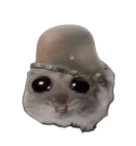 Create Meme Hamster Sticker Hamster Telegram Sticker Pictures