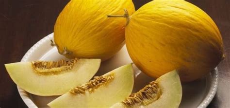 Sun Melon Benefits To Know Planmymedical