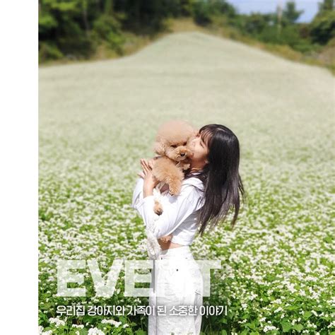 Hanwha Resorts Event 이벤트 유기견 임보견의 가족이 되어준 여러분 한화리조트