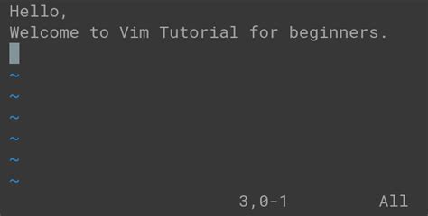 Vim A Quick Beginners Guide Gogosoon