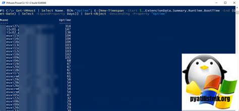 Как узнать время работы сервера Esxi за минуту Настройка серверов Windows и Linux