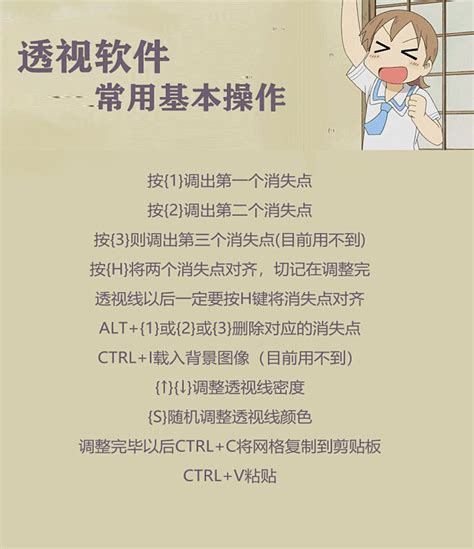 透视软件常用基本操作