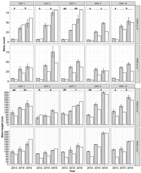 Mean Stem Height Cm And Mean Stem Count Of Four Seed‐based Miscanthus