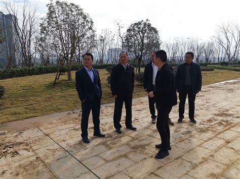 市城建集团董事长杨帆到中央生态绿地项目现场进行调研 宣城市城市建设集团有限公司