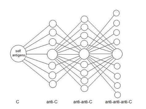 A Model That Is Part Of The Symmetrical Immune Network Theory Adapted Download Scientific