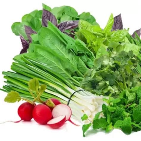 خرید و قیمت سبزی خوردن تازه یک کیلوگرمیپاک نشده از غرفه سوپر میوه