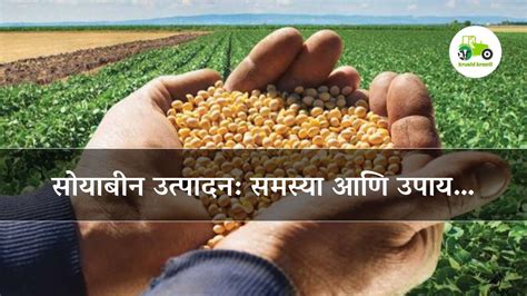 सोयाबीन उत्पादन समस्या आणि उपाय…