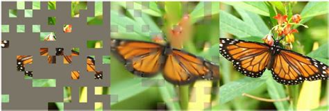 Github Restradaaguila Masked Autoencoders Vision Overview And Discussion Of Masked