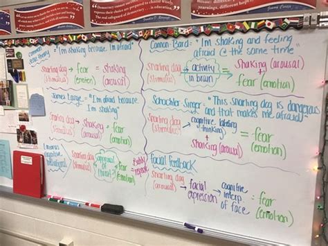 AP Psychology Chapter 9 Flashcards Quizlet