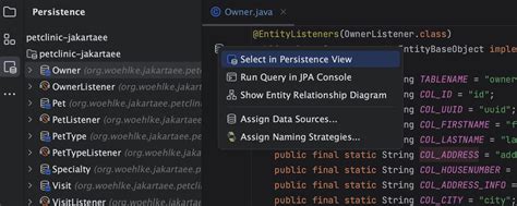 Jakarta ЕЕ IntelliJ IDEA