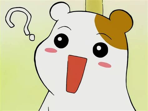 귀여운 짤 에비츄 짤 고화질버전 2탄 네이버 블로그