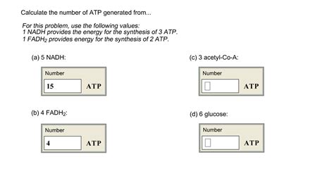 Solved Calculate The Number Of ATP Generated From For Chegg Com