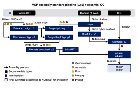 Assembly Can Someone Help Me Estimating The Runtime Of The Pipeline Applied By The Vertebrate