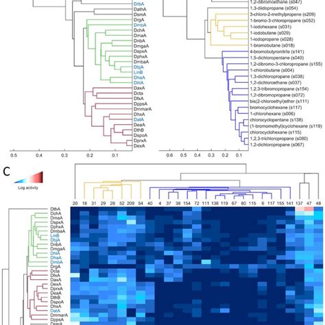 Multivariate Analysis Of Substrate Specificity A Heat Map With Download Scientific Diagram