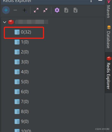 idea 使用插件远程连接redis 收费与免费插件 idea redis插件 csdn博客
