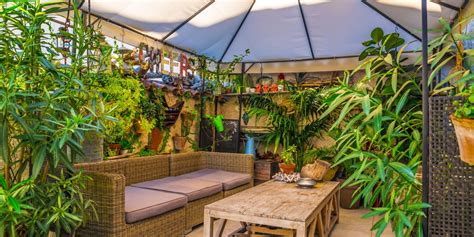 Small Garden Design Transforms Blank Slates Into Stunning Foliage And Flowers