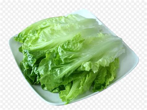盘子里的家常菜生菜PNG图片素材下载 图片编号yewxnrly 免抠素材网