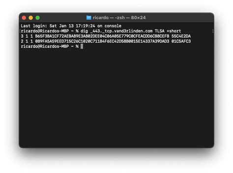 DNSSEC And DANE Explained VAND3RLINDEN