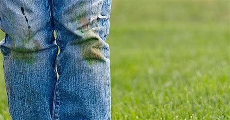 Як відіпрати траву з одягу та взуття чим вивести зелені плями — Lviv Media