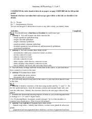Anatomy Physiology Lab 3 Tissues And Integumentary System Course Hero