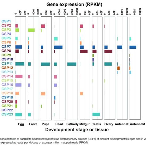 Expression Patterns Of Candidate Dendrolimus Punctatus Olfactory