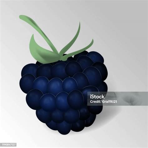 흰색 배경에 블랙 베리 블랙 베리 격리 벡터 3d 그림입니다 라즈베리 벡터 아이콘 그림입니다 신선한 과일 0명에 대한 스톡 벡터 아트 및 기타 이미지 Istock