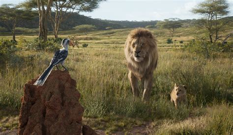 The Lion King 2019 Hd Mufasa Simba And Zazu — Pride Lands Wallpaper