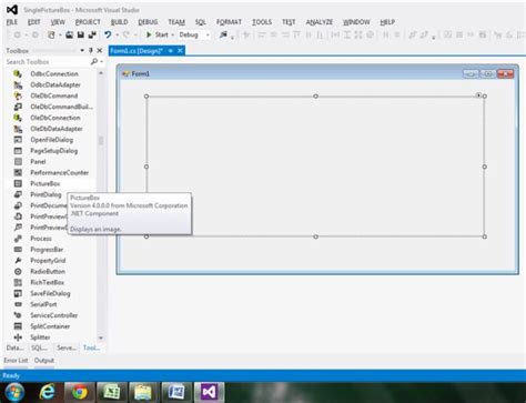 Accessing Image Files From Windows Forms Project Resources