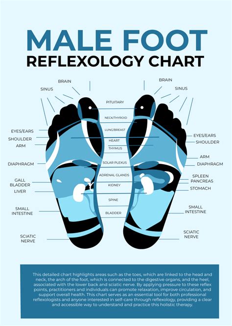 Foot Reflex Map