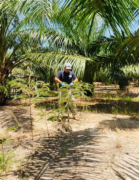 Syafina Fasya Saiful Anuar Posted On Linkedin