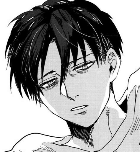 Levi Ackerman Aesthetic Pfp Manga
