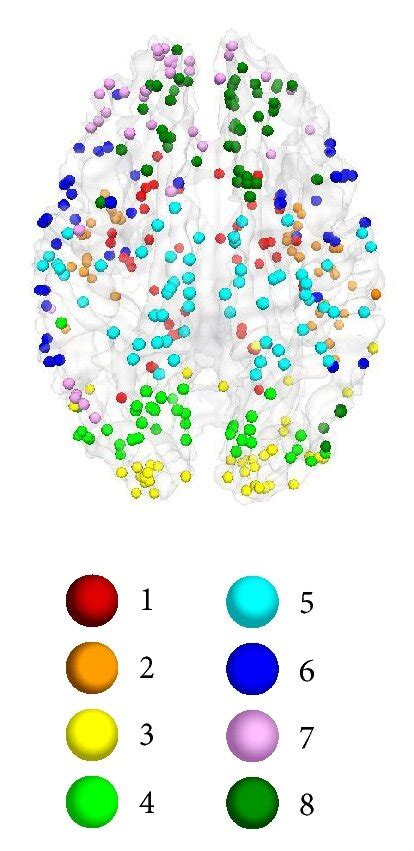 eight functional connectivity clusters as results of using a multiview