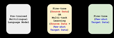 Our Few Shot Cross Lingual Transfer Strategy For Clinical Text Download Scientific Diagram
