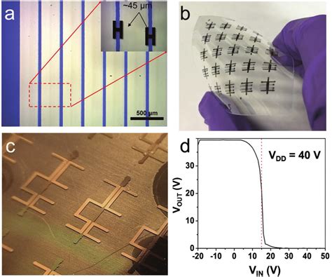 A Printed Silver Electrodes With 300 µm Electrode Width And 45 µm Download Scientific Diagram
