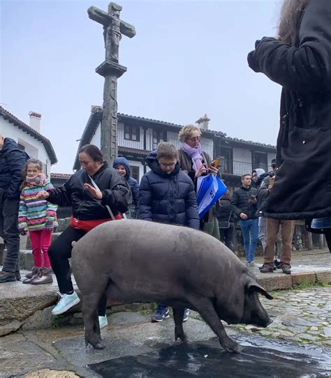 Fermín Ibérico And Asprosub A Partnership That Embraces Creativity And