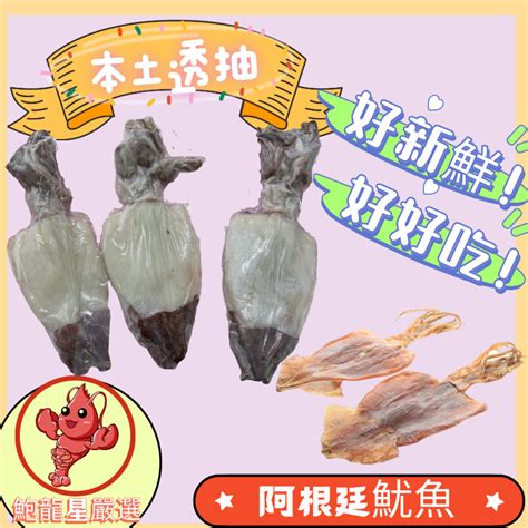 台灣本地產新鮮香甜 透抽 透抽干 透抽乾 乾透抽 透抽片 一夜干 小卷乾 小管乾 魷魚 阿根廷魷魚 魷魚乾 蝦皮購物