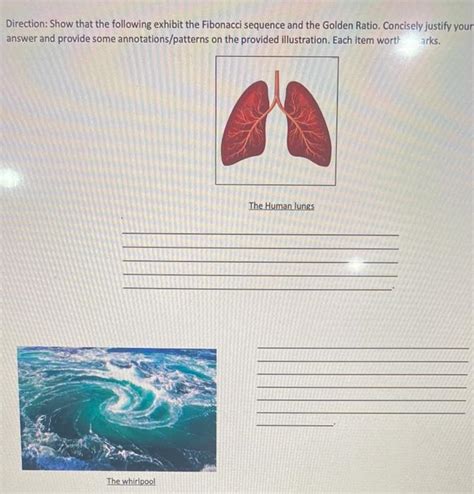 Solved Direction Show The Following Exhibit The Finonacci