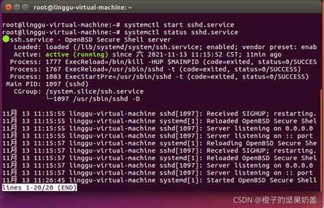 Linux密码破解使用hydra工具和使用john暴力破解 john解密 CSDN博客