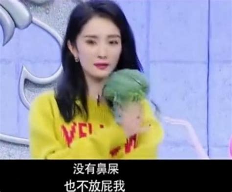 楊冪說每天至少大便兩次從不放屁 順帶林志玲無辜躺槍 每日頭條