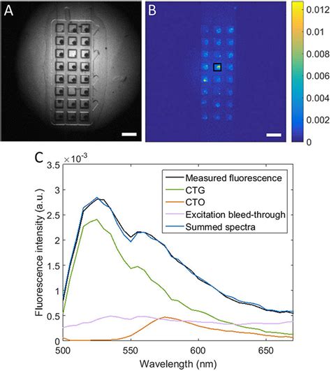Microfluidics And Spectroscopic Imaging For Personalized Medicine In Ovarian Cancer Cytofluidix
