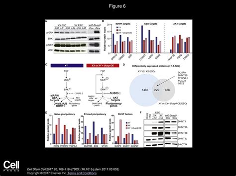 Volume Issue Pages E May Ppt Download