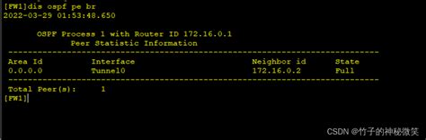gre over ipsec解决ospf跨公网问题 gre over ipsec ospf csdn博客