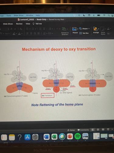 Exam 1 Lecture 7 Flashcards Quizlet