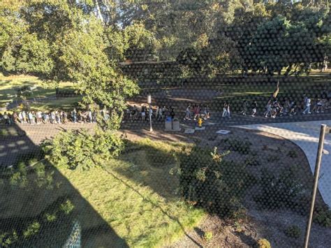 over allocating to design team r programmerhumor