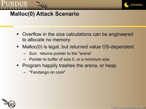8integer Overflows Ppt