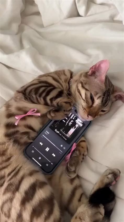 When I Need Relaxing Music R Korn