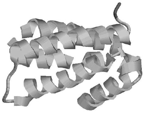 Example Of Domain Prediction For Casp Target T0367 Pdb2hsb Grey
