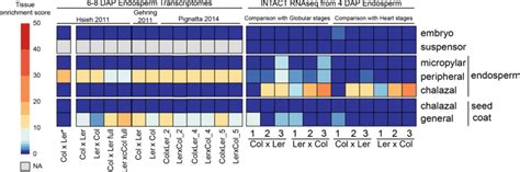 Tissue Enrichment Analysis Comparison Of RNA Seq Datasets With Our Download Scientific Diagram